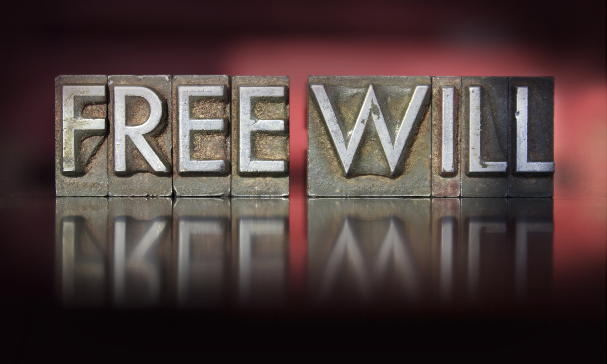 Free Will ≠ Nice People | ORBITER