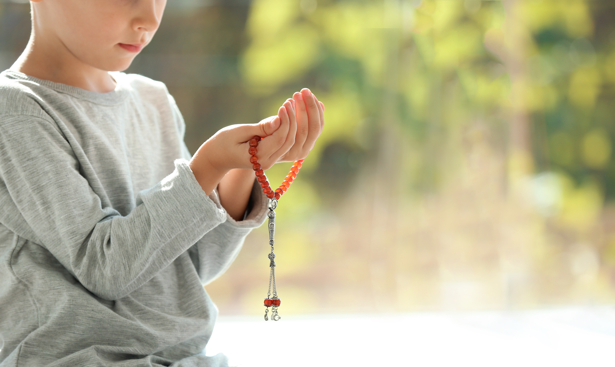 Train Up a Child | ORBITER