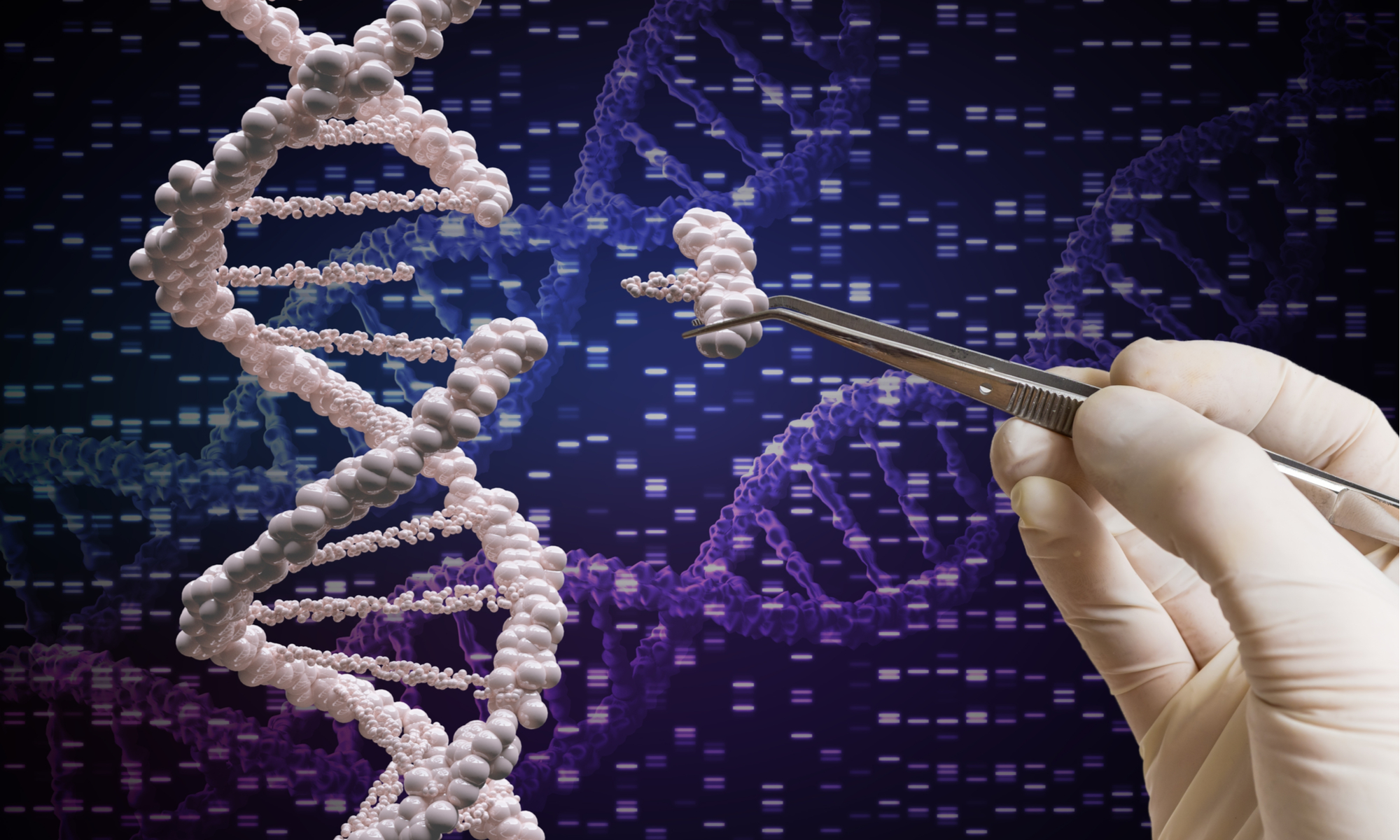 Gene Editing & Family Planning | ORBITER | Humans
