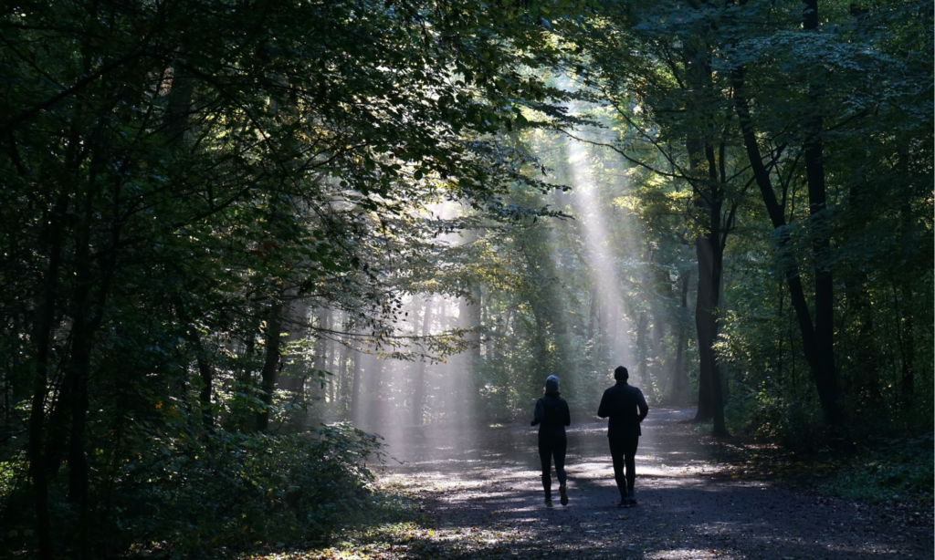 I Wonder as I Wander | ORBITER